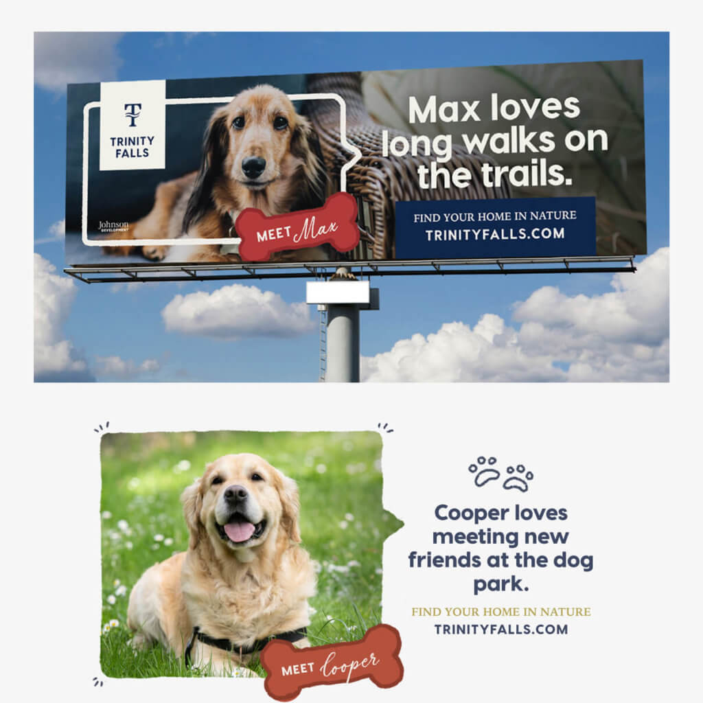 Trinity Falls - ST8MNT BRAND AGENCY